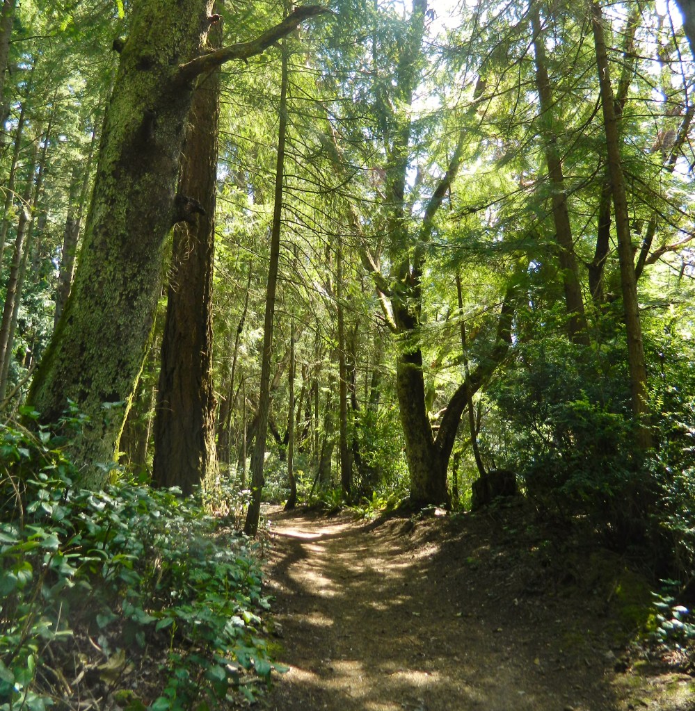 Point Defiance Park: Part I – Traveling the PNW