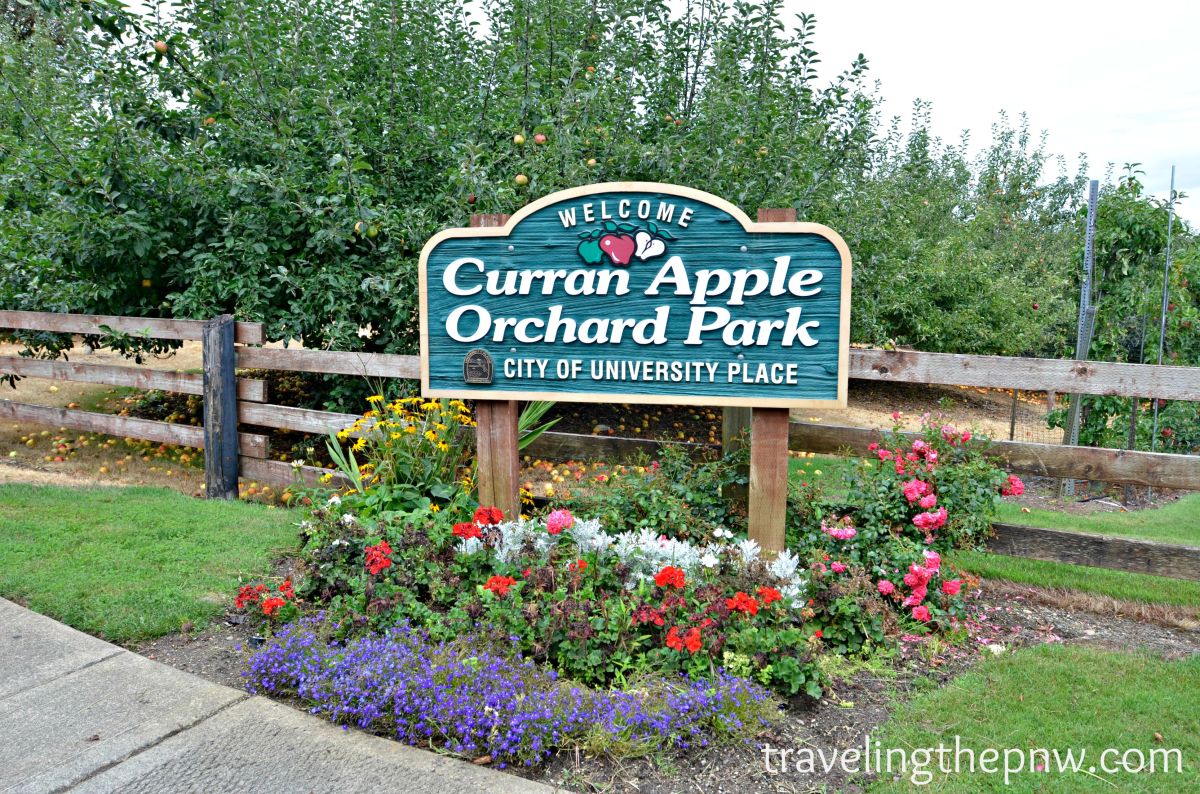 Curran Apple Orchard – Traveling the PNW